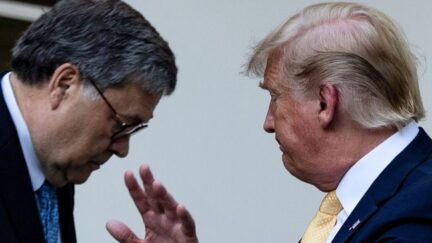 Daniel Maples Fired Over Costco Video | Law & Crime